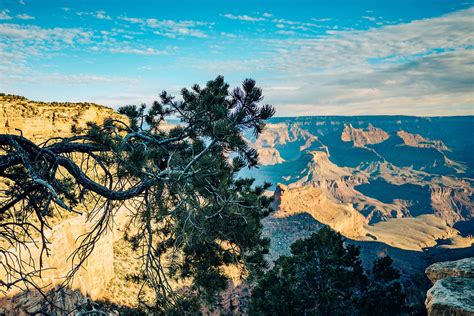 Finding Strength In Challenging Times A Lesson From Levi Yitzchak Of