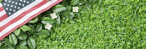 American Flag On Green Grass Background American Flag Grass