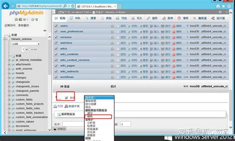 Redmine项目管理系统安装与迁移 知乎