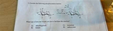 Solved Consider The Following Phosphorylation Reactionwhat
