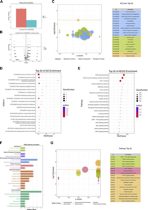bioinformatic analysis of exon region of gene in eccdnas a