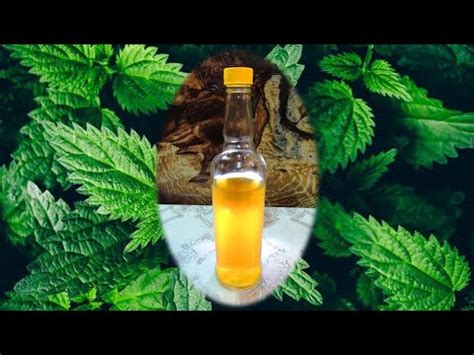 Псориаз 💥 и экзема. Уксусный экстракт 🍾 ферментированных листьев 🍃 ...