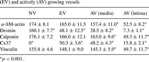 Quantitative Analysis Of Immunofluorescence Density Auµm 2 Of α Sm Download Table