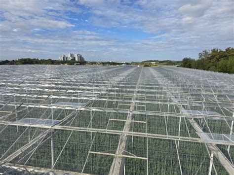 온실가스 줄이고 소득 높이고지열 활용한 히트펌프 난방 1석2조