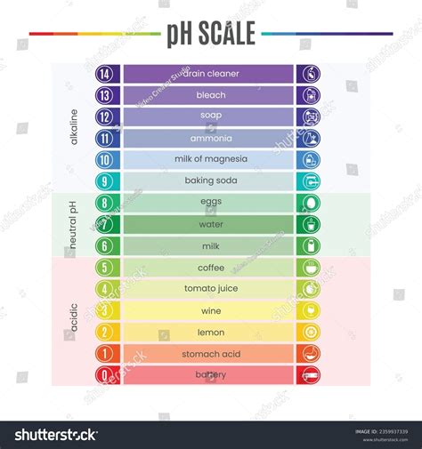 ph scale. ph scale infographic. pH value scale - Royalty Free Stock ...
