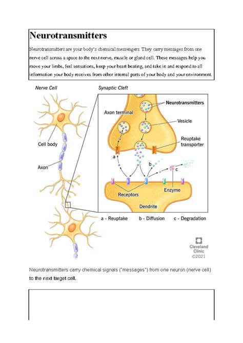 Module 3 Neurotransmitters Neurotransmitters Neurotransmitters Are