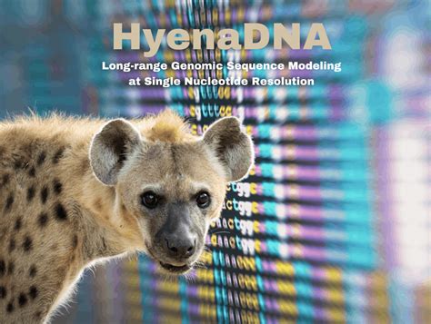 Hyenadna Powers Long Range Genomic Sequence Modeling At Single