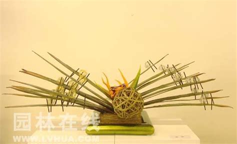 上海著名插花艺术家干花作品欣赏