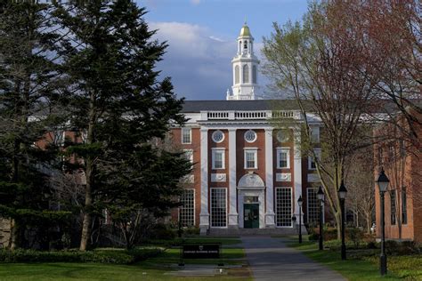 Harvard Revokes Tenure From Francesca Gino Over Misconduct Accusations
