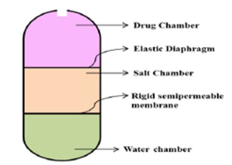 Osmotic Controlled Release Oral Delivery System An Overview