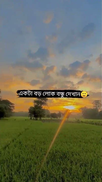 ফ্রেন্ডশিপ Youtube