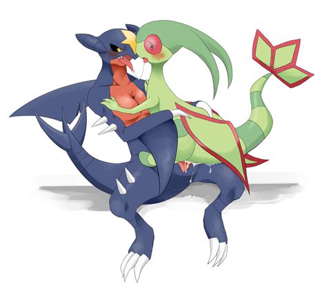 Rule 34 Female Flygon Garchomp Male Penis Pokemon Pokemon Species Pokephilia Straight Tagme