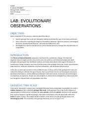 Lab Evolution Docx NAME B Vallejo MS NBCT Biology R L Section