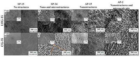 Metals Special Issue Surface Modification Of Metallic Biomaterials