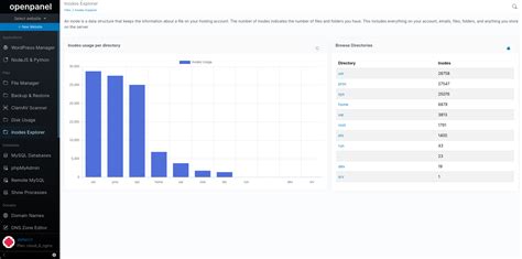 Inodes Openpanel