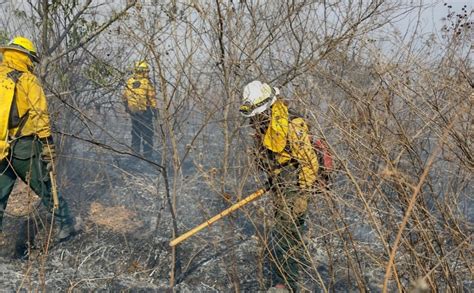 Sistema Conred Mantiene AtenciÓn A Incendios En El PaÍs Conred