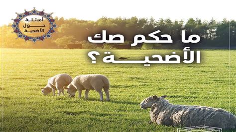 ما حكم صك الأضحية ؟ Youtube