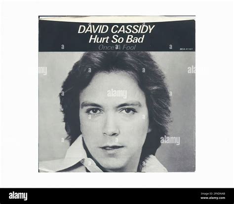 David Cassidy Cut Out Stock Images And Pictures Alamy