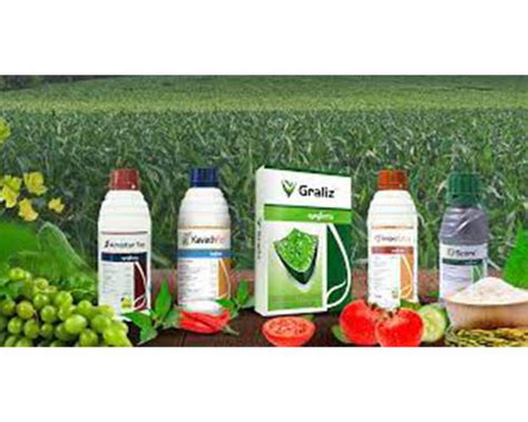 Fungicides Manufacturer Supplier From Egypt