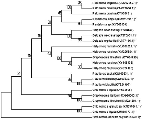 Minimum Evolution Tree Based On K2p Numbers Indicate The Percentage