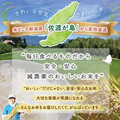 【新米・先行予約】特別栽培米 佐渡島産 コシヒカリ 無洗米5kg×1袋 新潟県佐渡市｜jre Mallふるさと納税