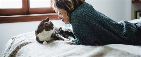 Katze pinkelt überall hin was hilft
