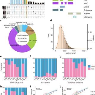 PDF Long And Short Read RNA Sequencing From Five Reproductive Organs Of Boar