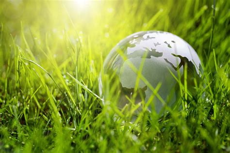 Ecological Risk Assessments - STM Environmental ConsultantsSTM ...