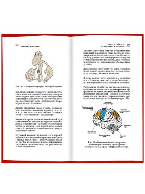 Машина мышления. Заставь себя думать! - книга психотерапевта Андрея ...
