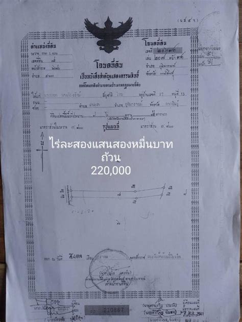 ขายที่สวย10ไร่3งาน บ้านคำโพนสูง ต สามขา อ กุฉินารายณ จ ดาฬสินธุิ Ennxo