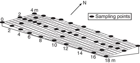 Plot Topography And Sampling Design To Scale Download Scientific Diagram