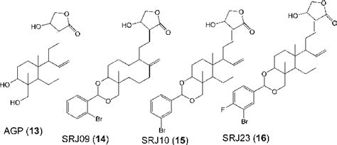 Chemical Structures Of Andrographolide Agp 13 And Its Benzylidene Download Scientific
