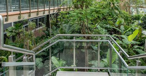 Chorzów Las deszczowy w śląskim zoo prawie gotowy Zobaczcie jak się