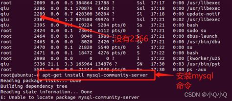 已解决：can‘t connect to local mysql server through socket ‘ var run mysqld