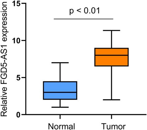 Expression Of Lncrna Fgd5‐as1 Correlates With Poor Prognosis In