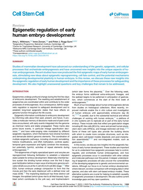 Epigenetic Regulation Of Early Human Embryo Development Pdf Dna