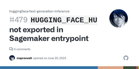 `huggingfacehubtoken` Not Exported In Sagemaker Entrypoint · Issue