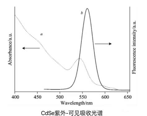 油溶性CdSe量子点PL波长480nm 640nm 油溶性硒化镉量子点 UDP糖丨MOF丨金属有机框架丨聚集诱导发光丨荧光标记推荐西安齐岳生物