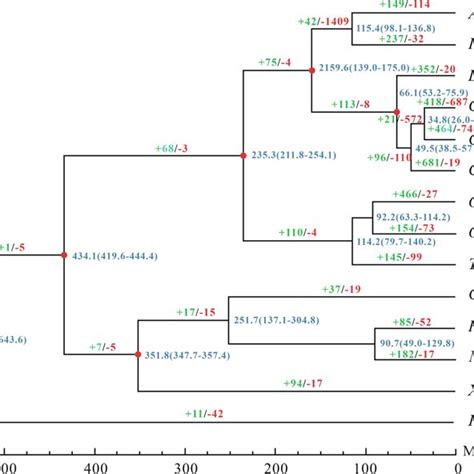 Phylogenetic Tree Based On Single Copy Genes From 14 Species Shows The