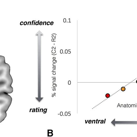 spatial gradient analysis along the ventral dorsal axis of mpfc see