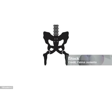 骨骼圖示向量插圖向量圖形及更多人圖片 人 人脊柱 人體構造 Istock