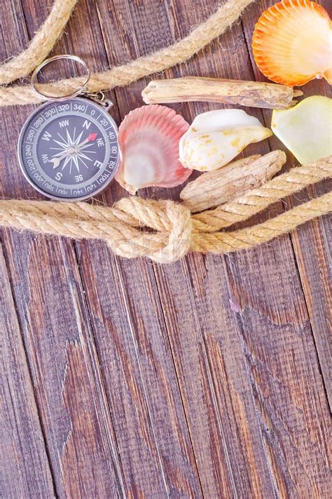 Shell And Compass Stock Image Colourbox