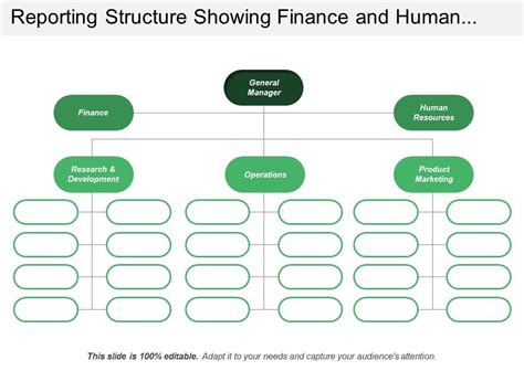 Reporting Structure Showing Finance And Human Resource Operations PowerPoint Templates