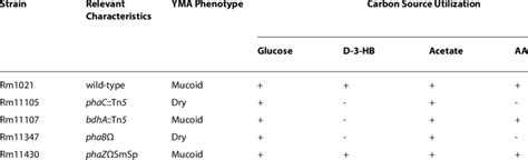 Growth Phenotypes Of S Meliloti Phb Cycle Mutants Download Table