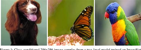 Figure 1 From Generating Diverse High Fidelity Images With Vq Vae 2