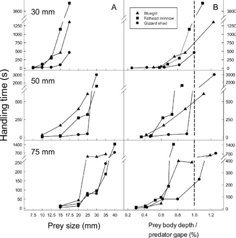 Mean Handling Time As A Function Of A Prey Size And B Ratio Of Prey Download Scientific