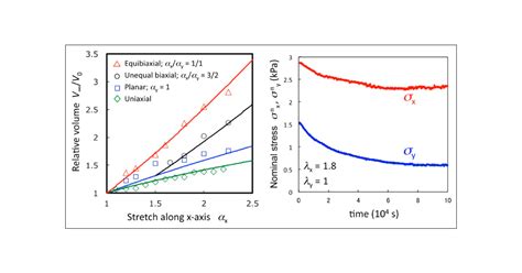 Strain Driven Swelling And Accompanying Stress Reduction In Polymer Gels Under Biaxial