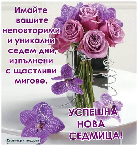 Успешна нова седмица Karti4ki Eu
