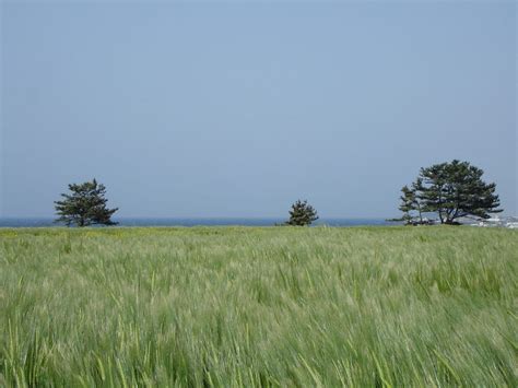 The Crito I Would Have You Consider Crito By Will Liam Medium