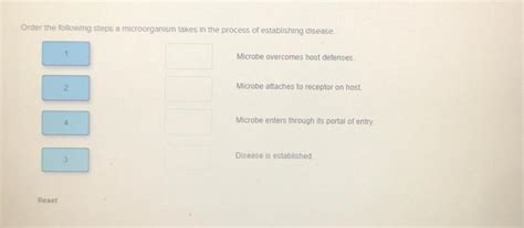 Order The Following Steps A Microorganism Takes In T Biology